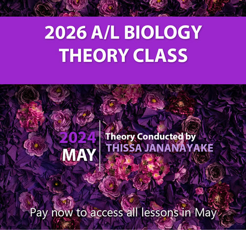 Sipsuru: 2026 Theory